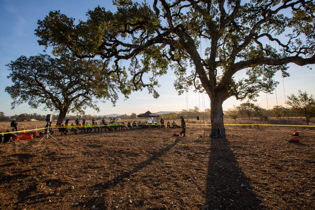 Academy Trained - Leading Tree Industry Training & Community