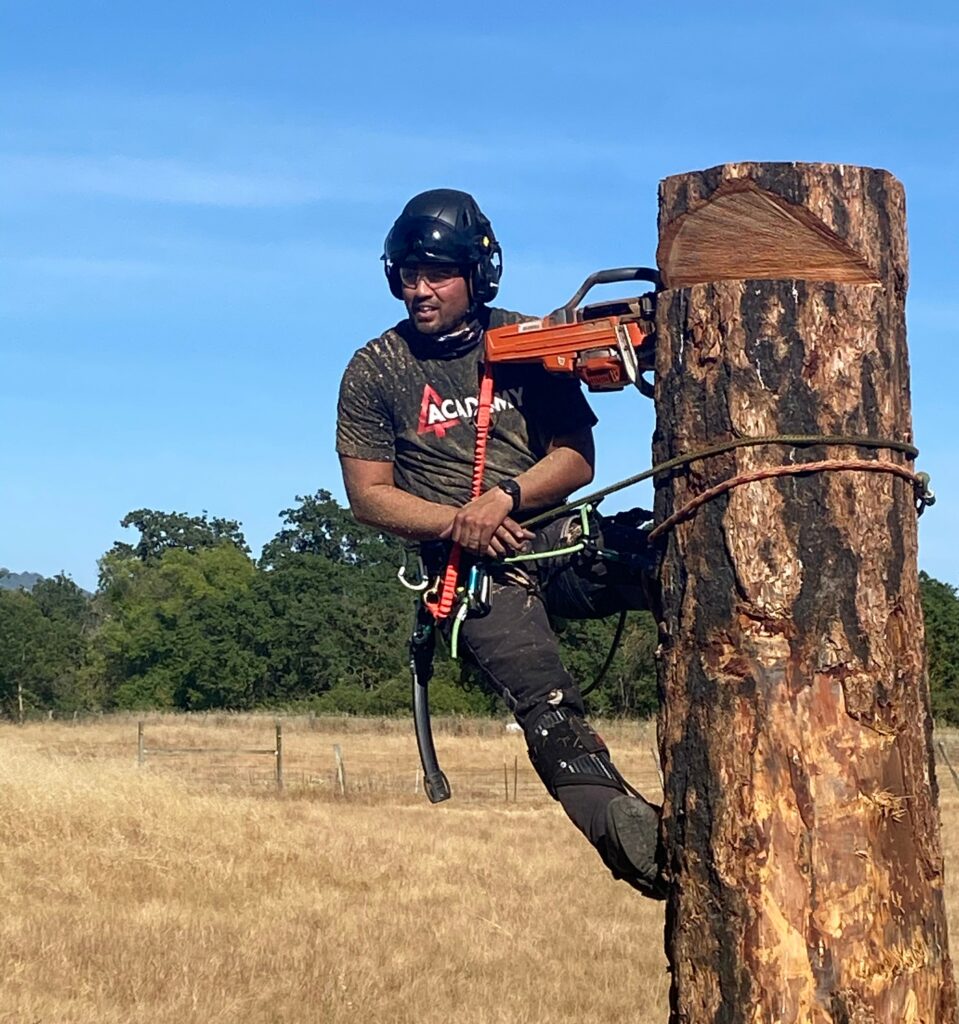 Courses Archive - Academy Trained